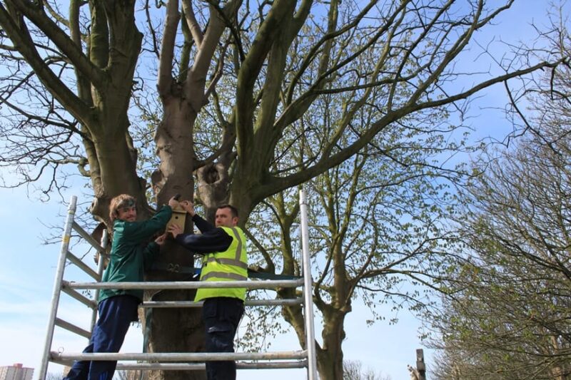 Layton Cemetery, the largest in the town • explore with Live Blackpool