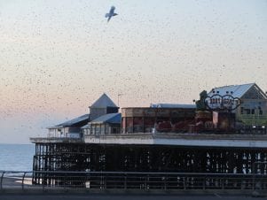 Then and Now - History of Blackpool North Pier • with Live Blackpool