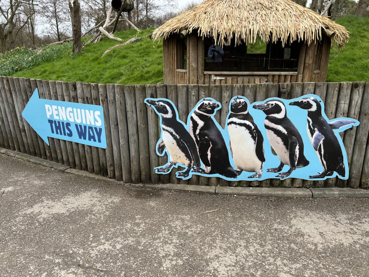 Blackpool Zoo • Live Blackpool