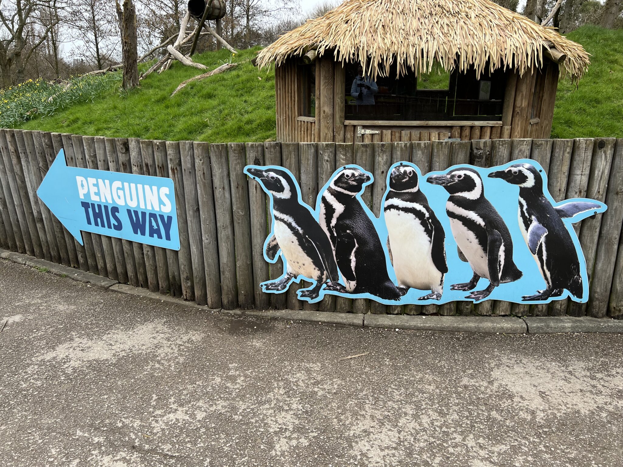 Blackpool Zoo • Live Blackpool